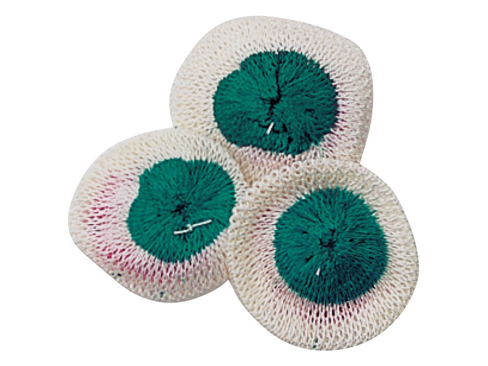 Snow Peak – 2WAYランタン用マントル3マイセット – PLUS YU